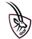 Qatar Ultimate